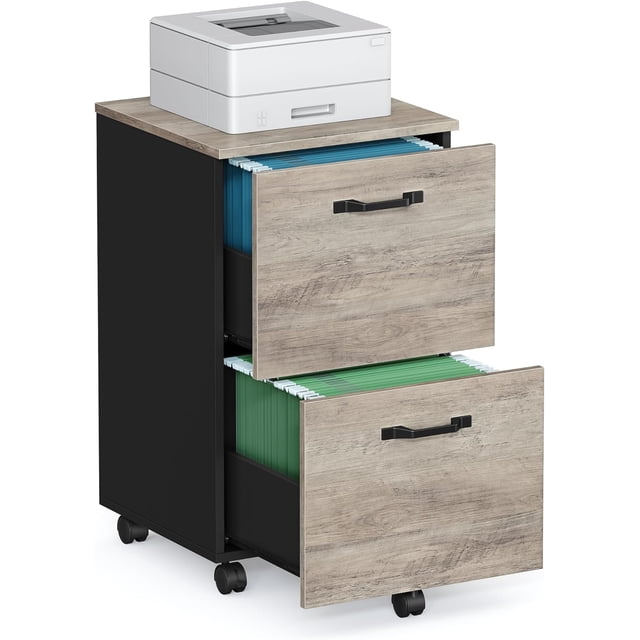 U-SHARE 2-Drawer File Cabinet, Filing Cabinet for Home Office, Small ...