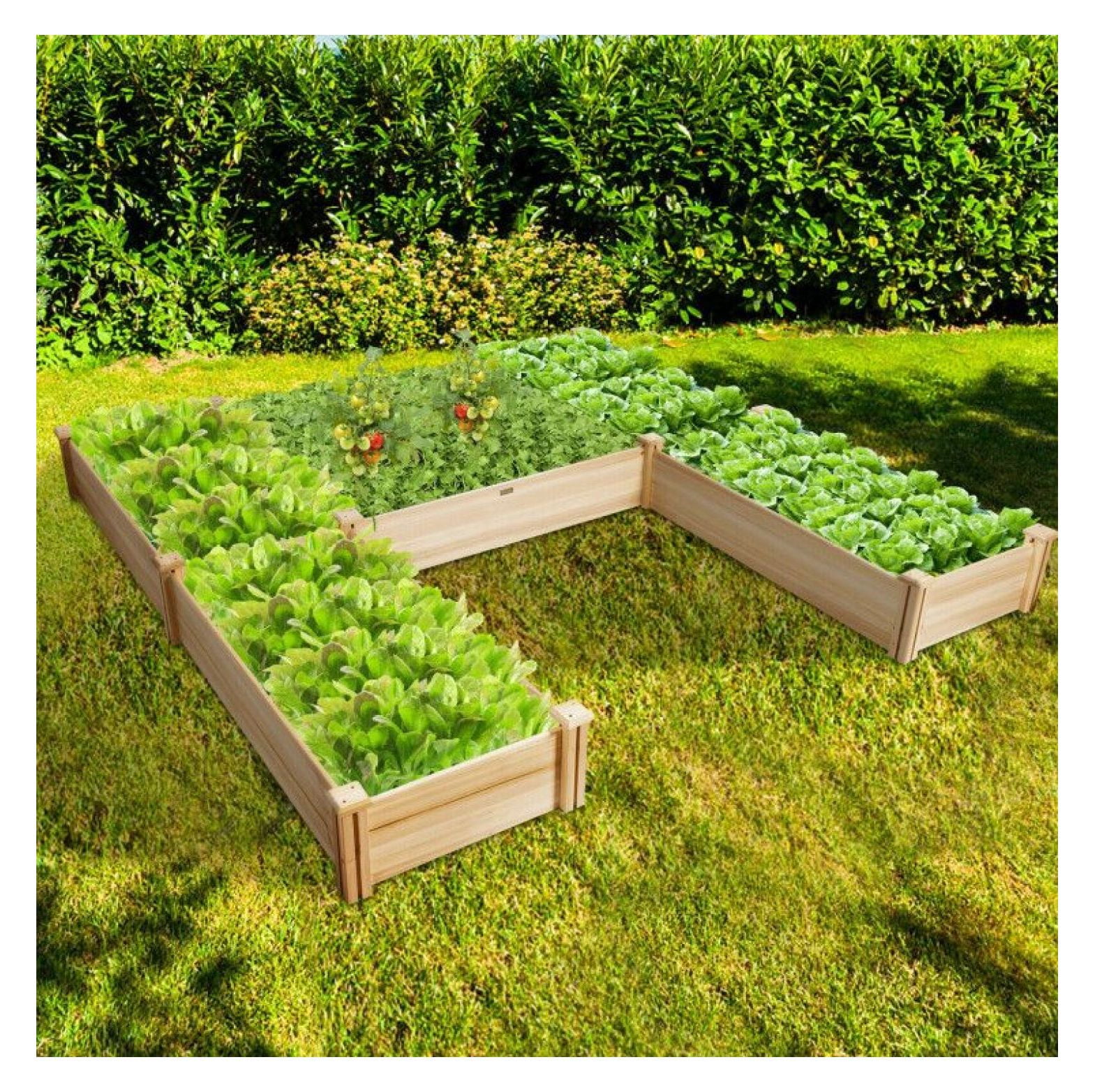 U-Shaped Wooden Garden Raised Bed for Backyard and Patio Natural ...