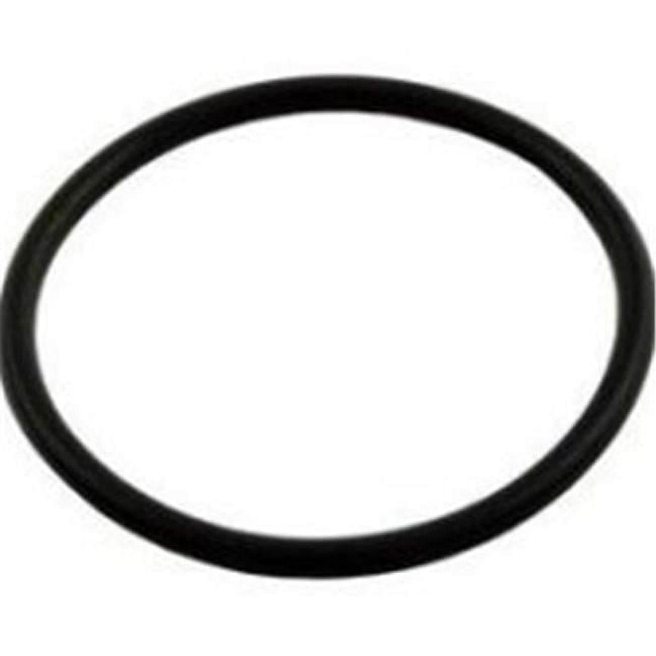 U9-226Z Pentair Buna 70 O-Ring #2-226 1.5" Diffuser - Walmart.com