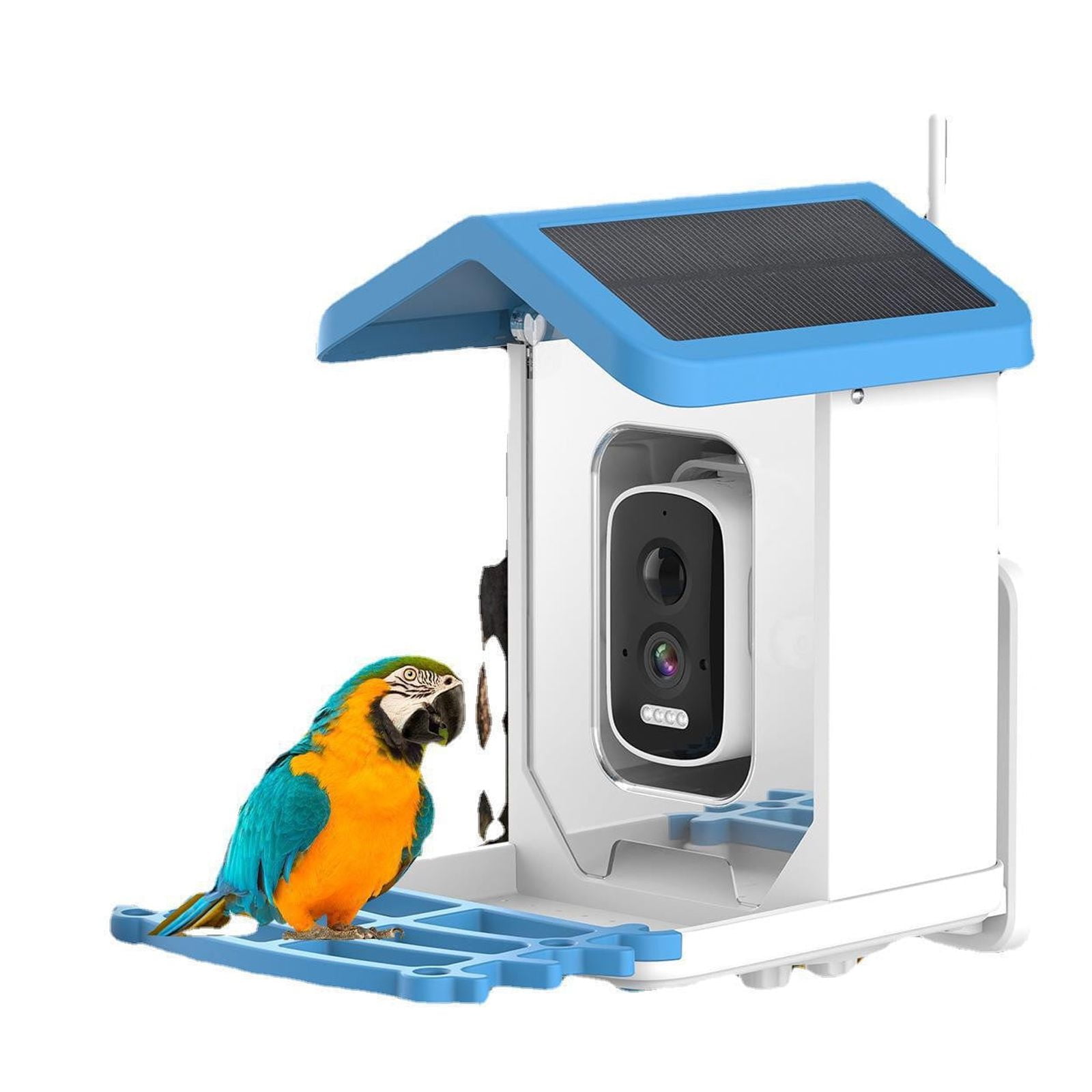 UAEBM Smart Bird Feeder with HD Camera – 1080P Night Vision, Auto Bird ...