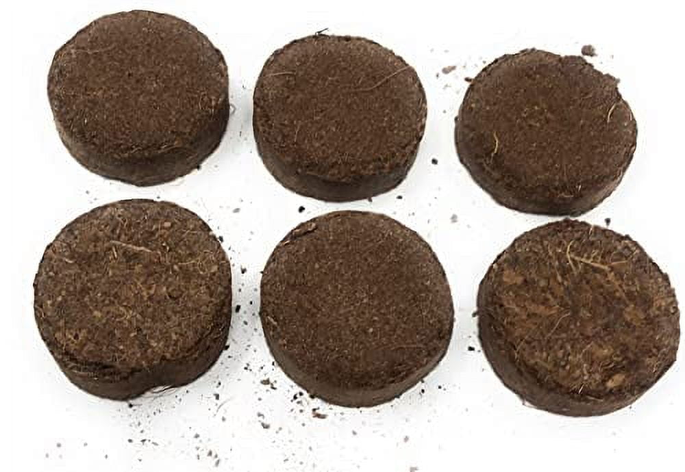UBICON Coco Coir Disc 1.5" - Easy to Use, Chemical Free, for Indoor ...
