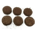 UBICON Coco Coir Disc 1.5" - Easy to Use, Chemical Free, for Indoor ...