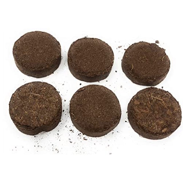 UBICON Coco Coir Disc 1.5" - Easy to Use, Chemical Free, for Indoor ...