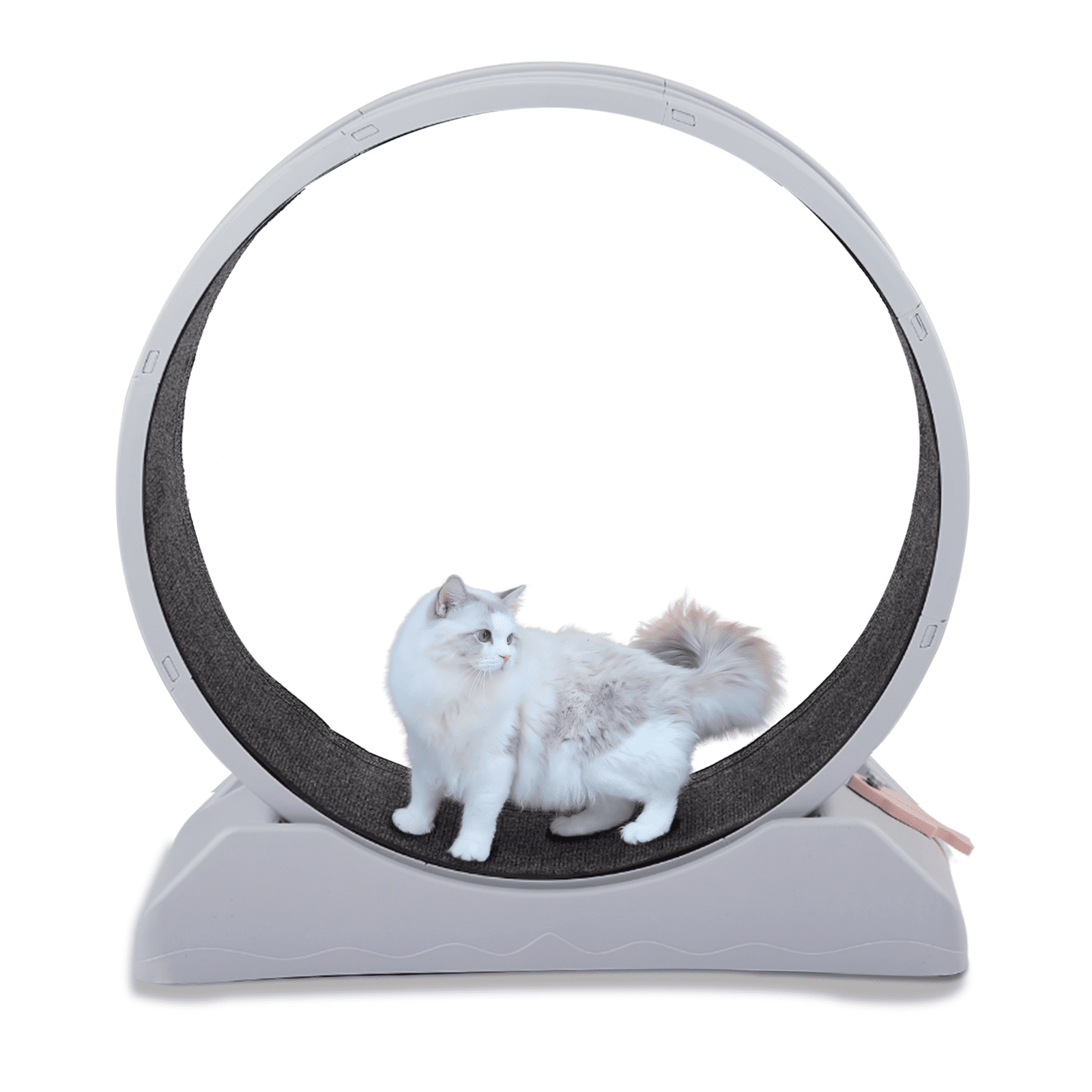 UBesGoo Cat Exercise Wheel -Safe 31in-Cat Treadmill Wheel Exerciser ...