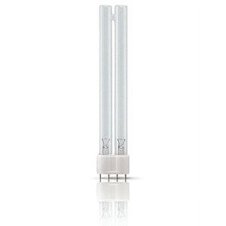 Long Bulb