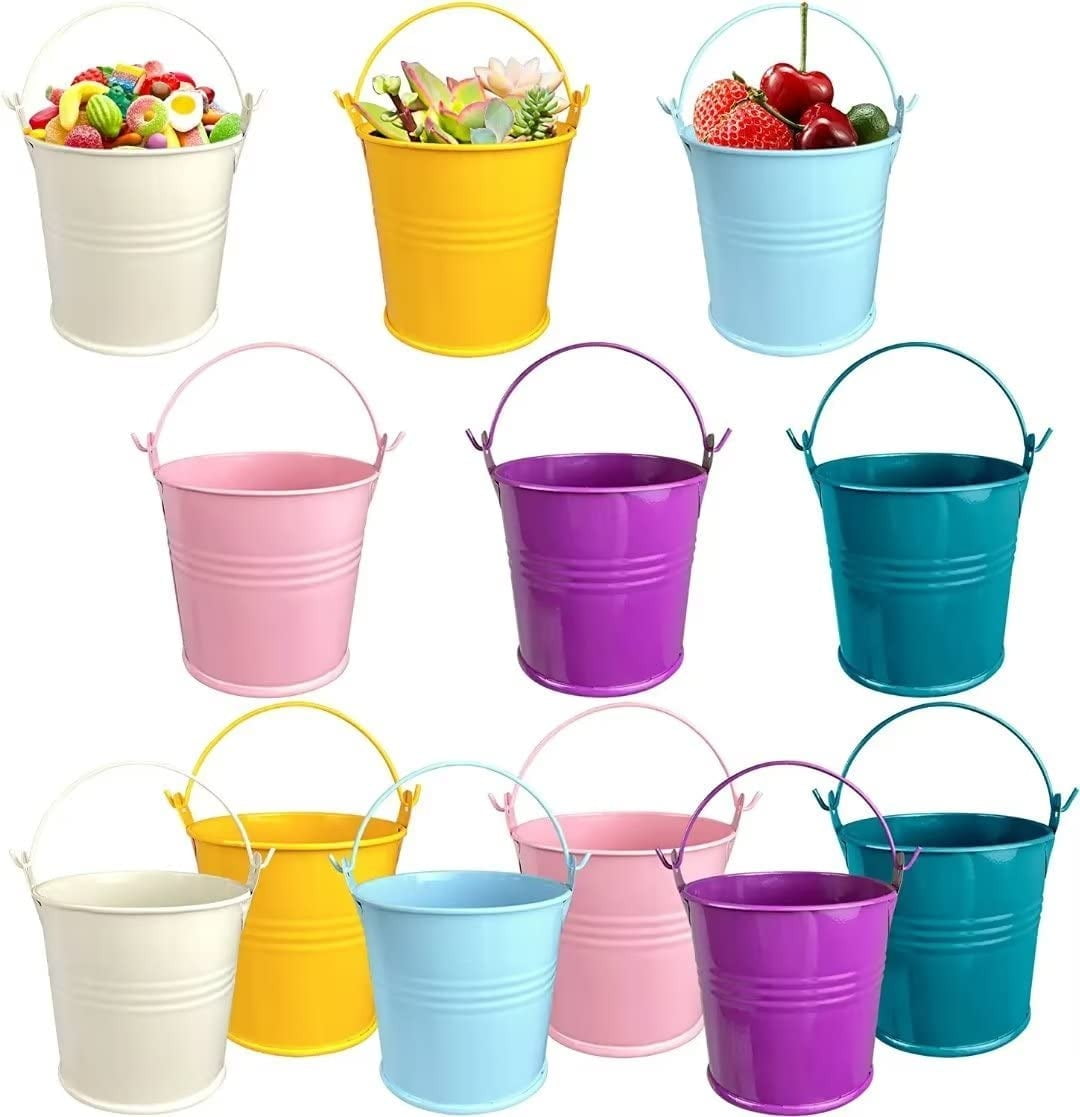UDIYO 2Pcs Galvanized Metal Buckets with Handle Mini Round Flower Pot ...