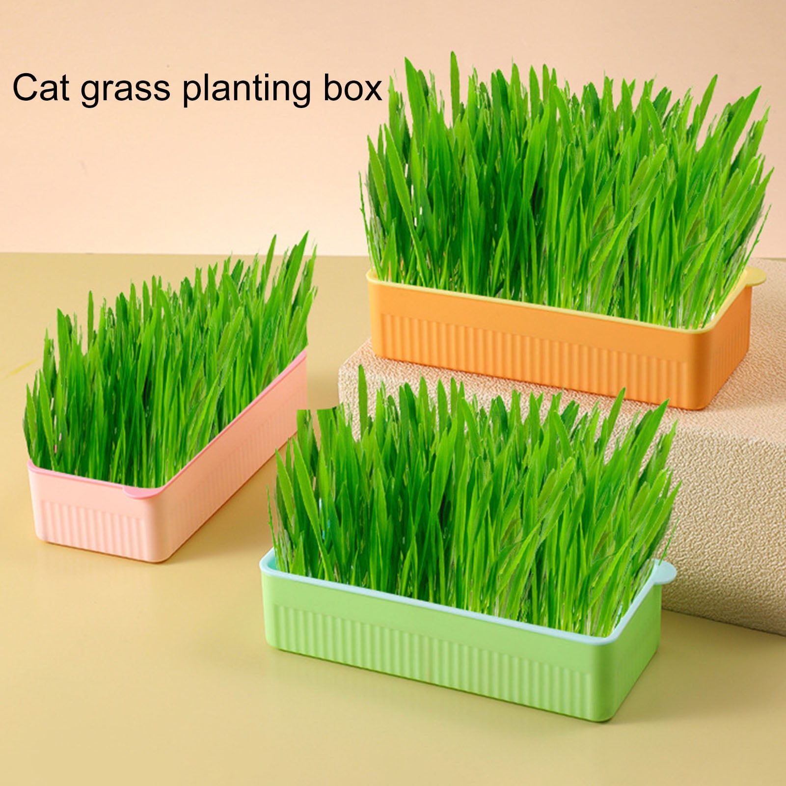 UDIYO Cat Grass Planter with Detachable Bottom Double Layer Contrast ...