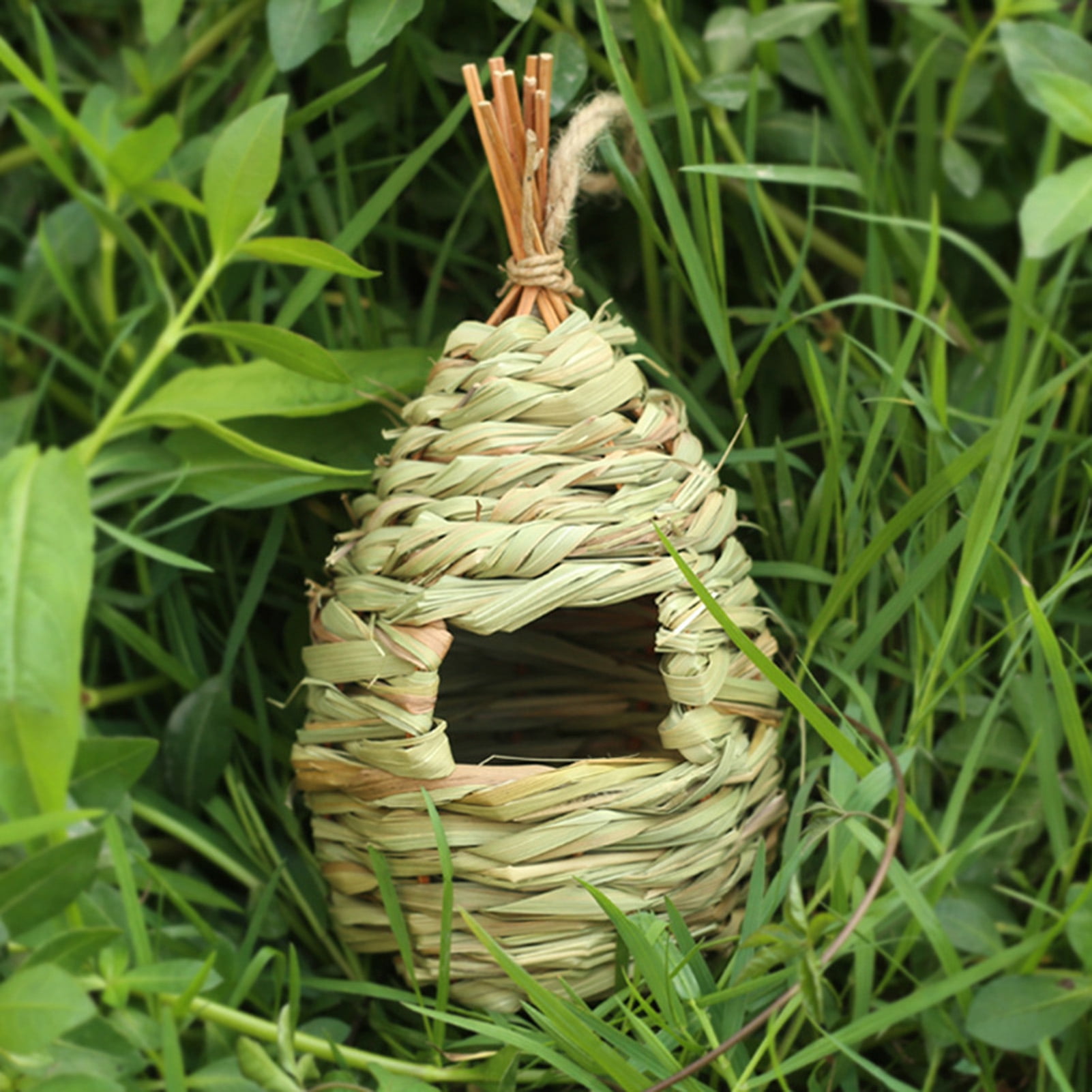 UDIYO Grass Finch Nest Crested & Leopard Gecko Hide as Fake Hornet Nest ...