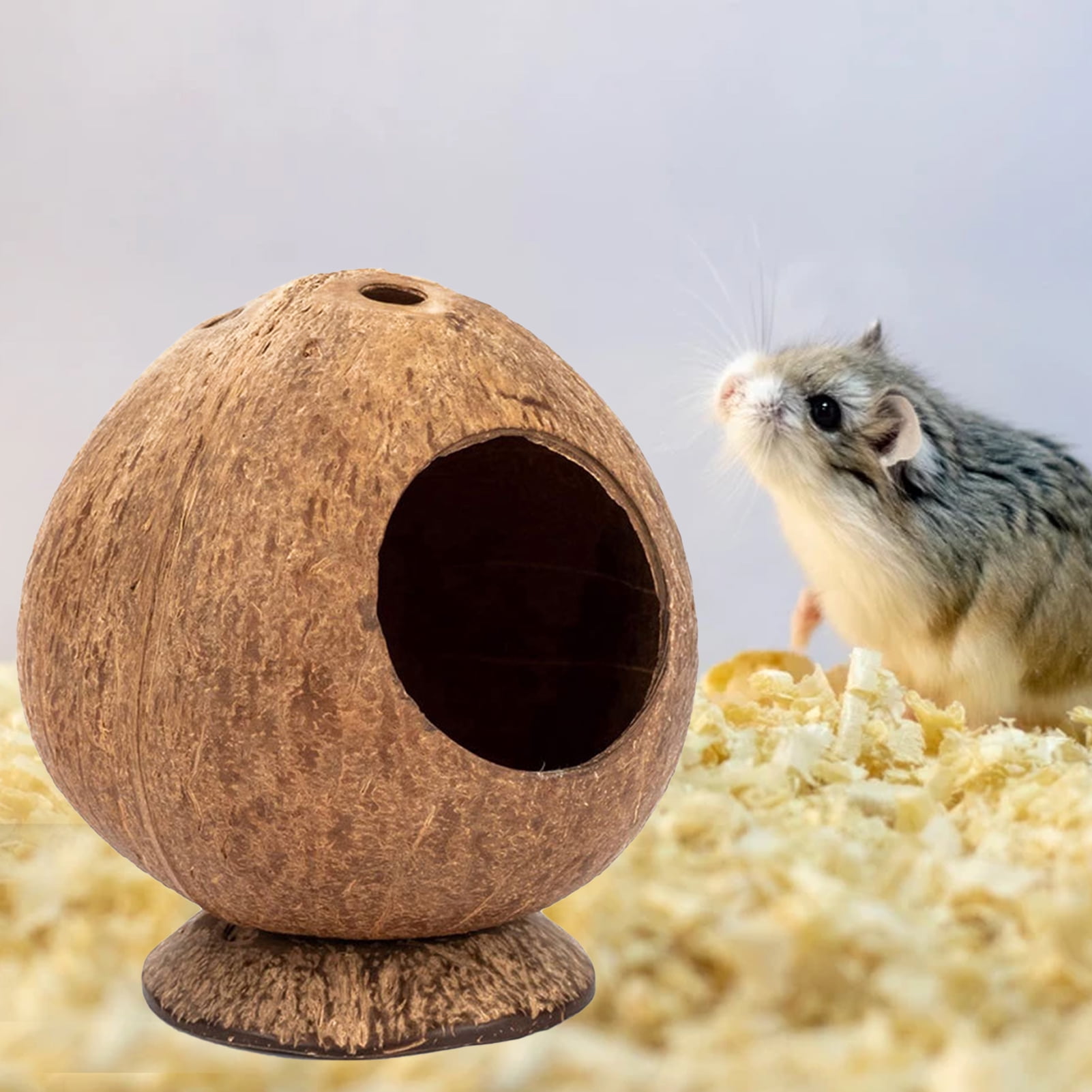UDIYO Hamster House,Bite-resistant Natural Coconut Shell Guinea-pig ...