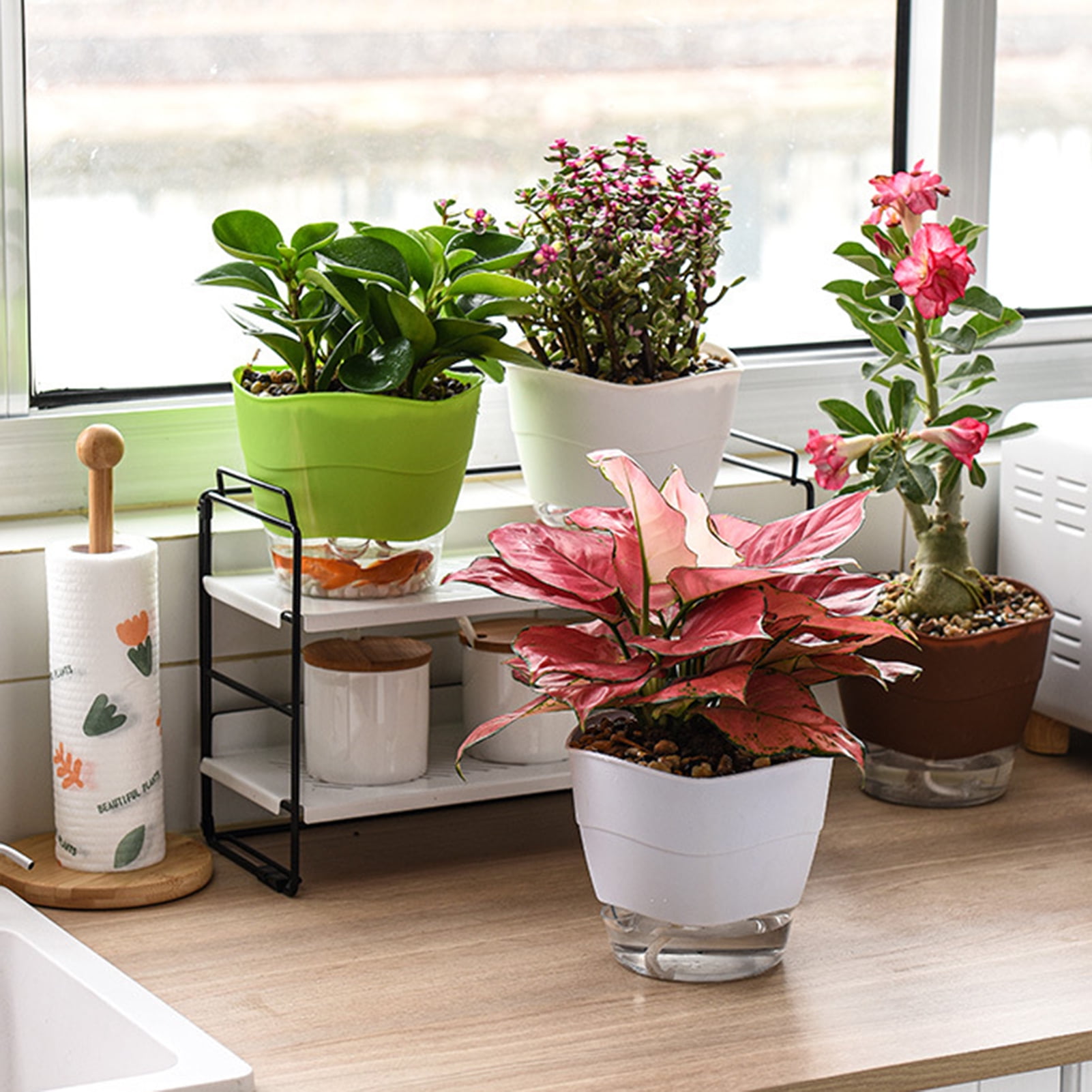 UDIYO Self Watering Planters, 6.2'' Self Watering Pots for Indoor ...