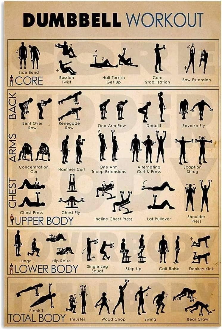 UEJUNBO Fitness Knowledge Graph Metal Tin Sign Dumbbell Workout Chart ...