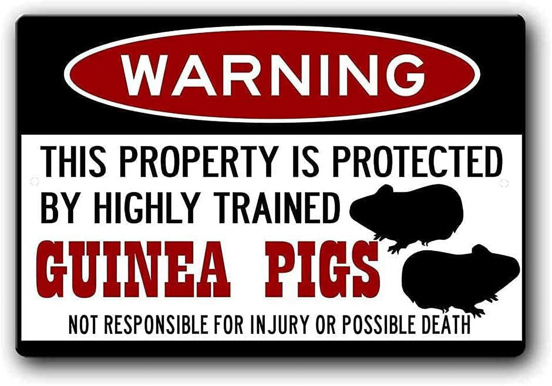 UEJUNBO Guinea Pig Metal Tin Sign Wall Decor for Home Yard & Patio ...