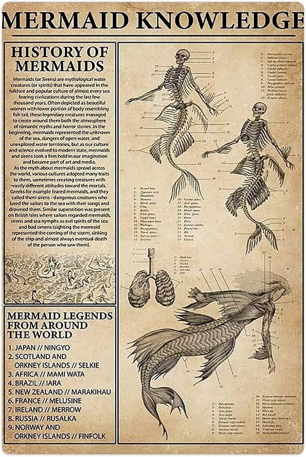 UEJUNBO Mermaid Knowledge Metal Tin Signs History Of Mermaids Posters ...