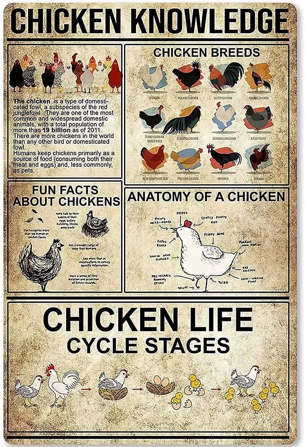UEJUNBO Old Tin Plaque Vintage Chicken Knowledge Metal Tin Signage ...