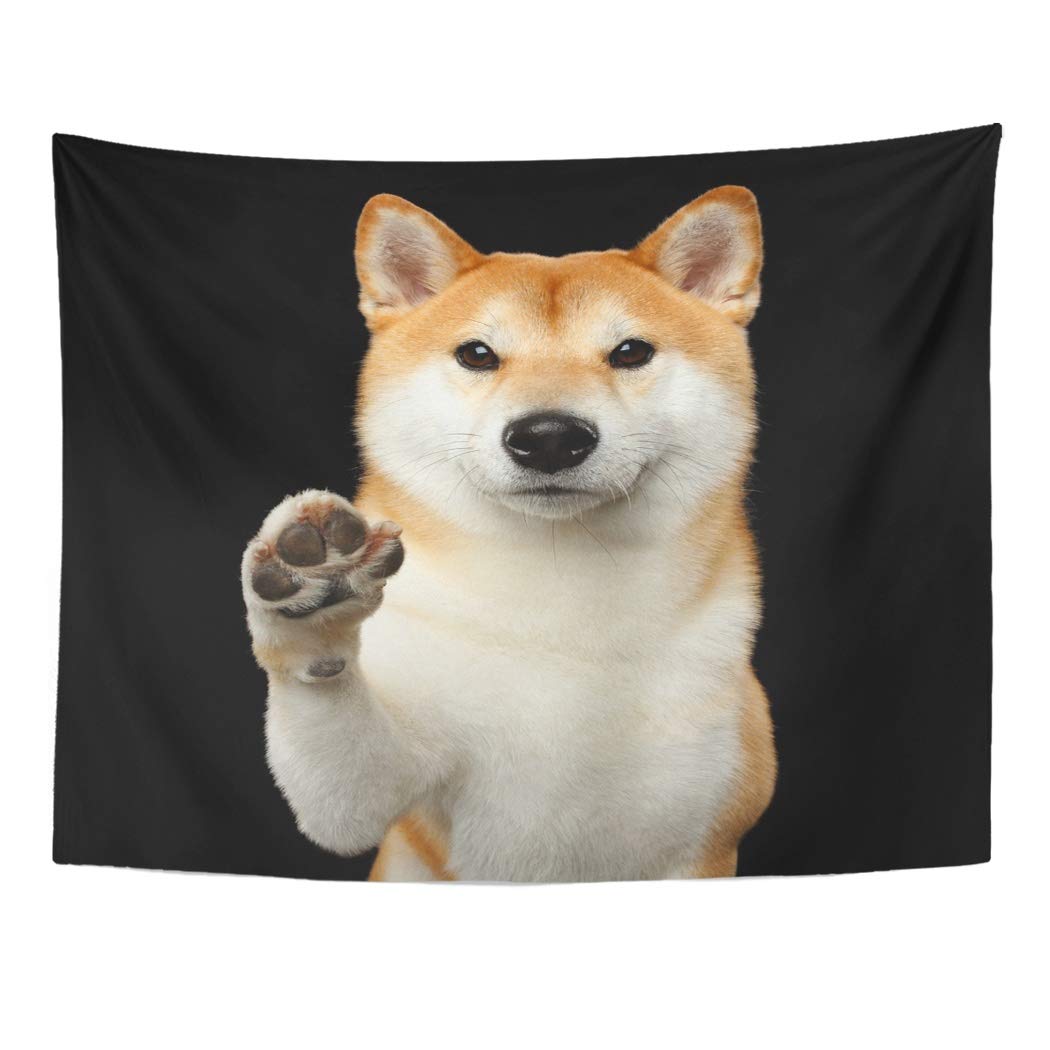 UFAEZU Red Funny Portrait Cute Shiba Inu Dog Looks Friendly Paw Give ...