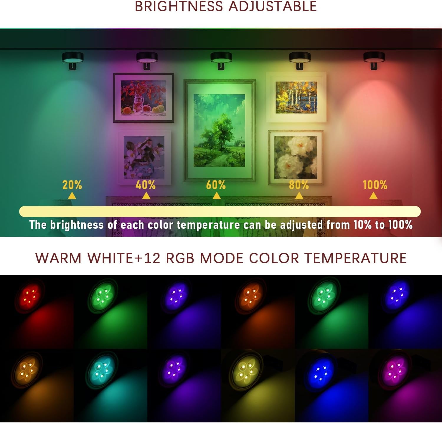UGUCYUI-4 Pack Black Picture Lights for Wall Battery Operated, 12 RGB ...