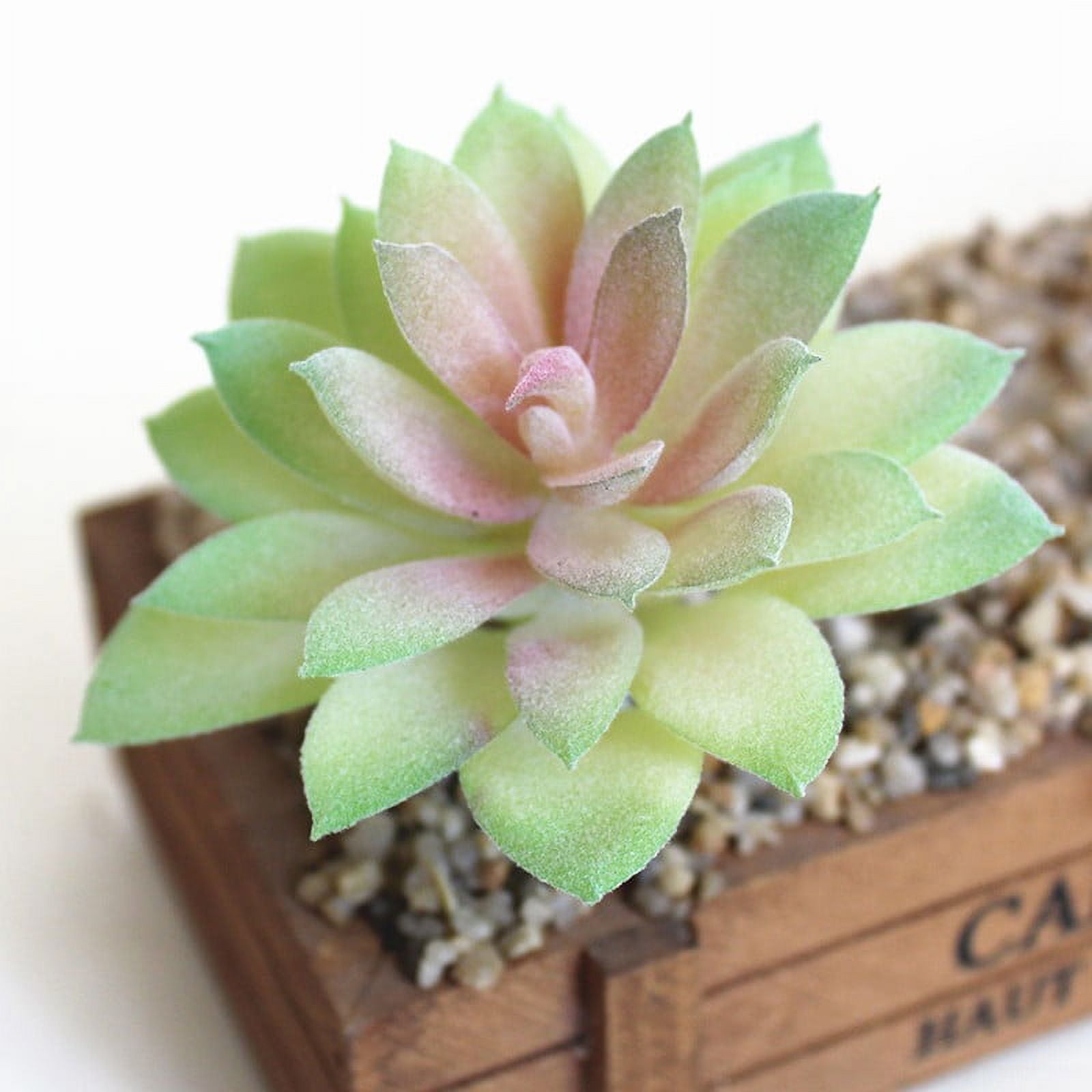 UHUSE Artifical Plastic Succulent Plant Cactus Echeveria Flower Home ...