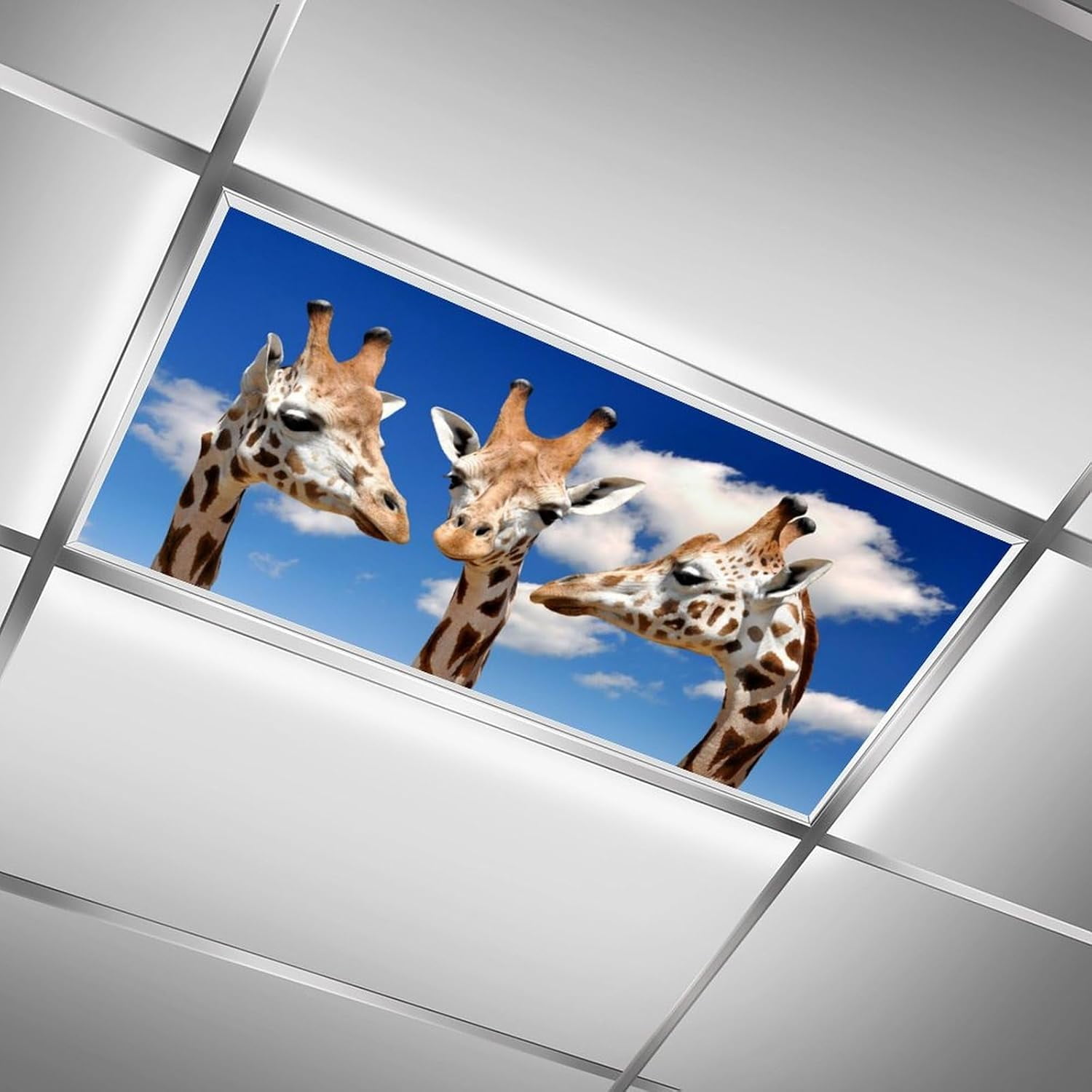 UITTG-2 Pack Fluorescent Light Cover for Ceiling Light -Funny Giraffe ...