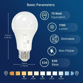6500K LED Bulbs