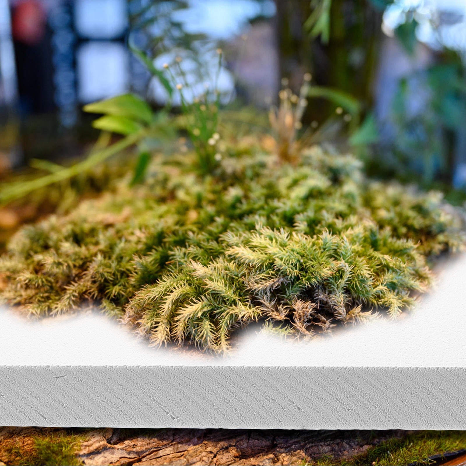 ULTNICE 2Pcs Foams Sheets for Diorama Decoration White Foam for DIY ...