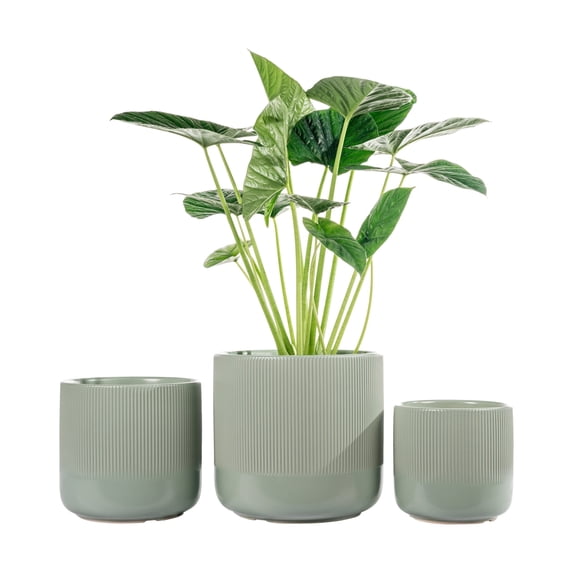UMIAMOY Cylinder Ceramic Plant Pots,5.8+6.9+8.3 inch Plant Pots with ...