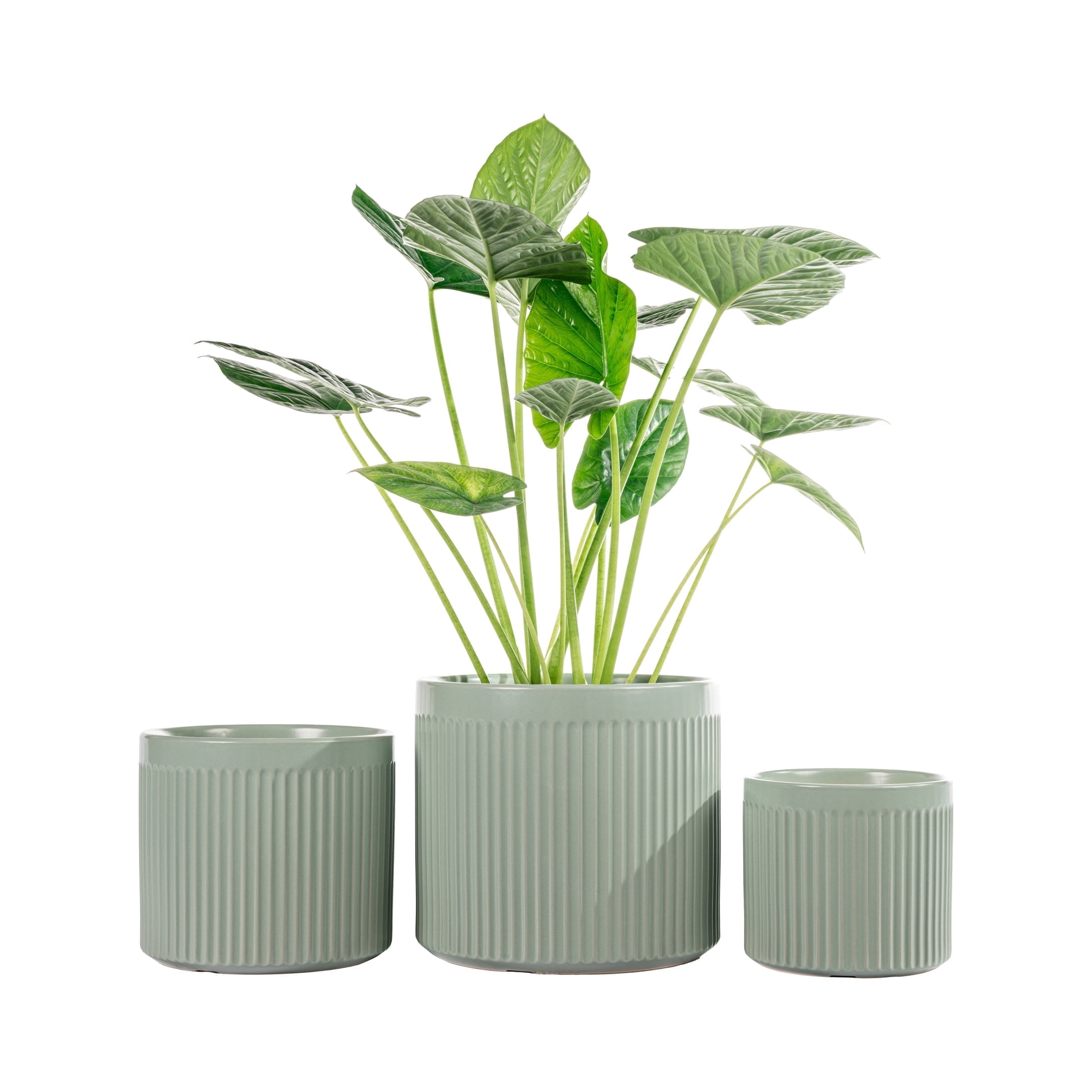 UMIAMOY Modern Cylinder Set of 3 Ceramic Flower Pots,5.7+7.0+8.6 inch ...