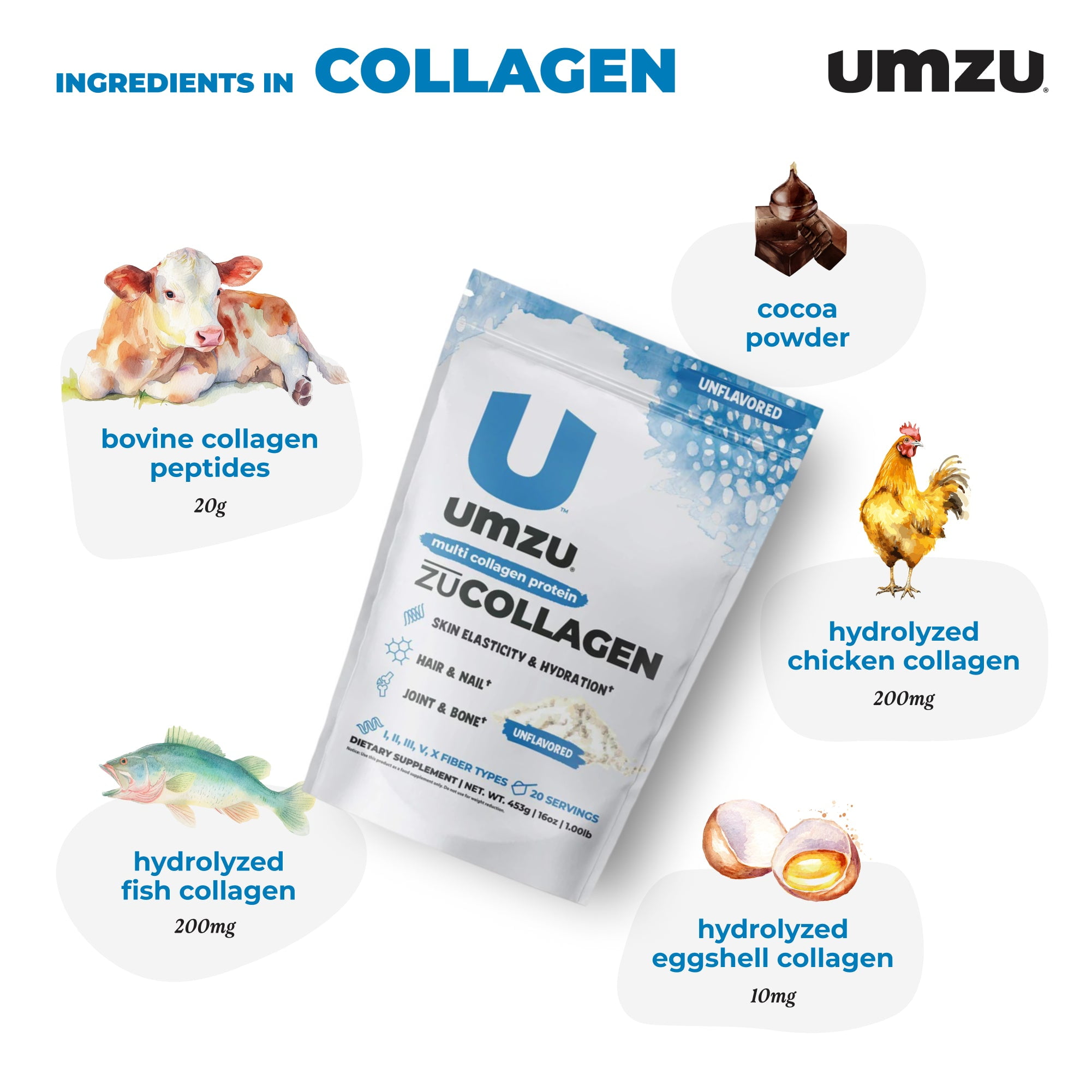 UMZU Collagen Protein: Joints, Skin & Muscle Support Unflavored ...