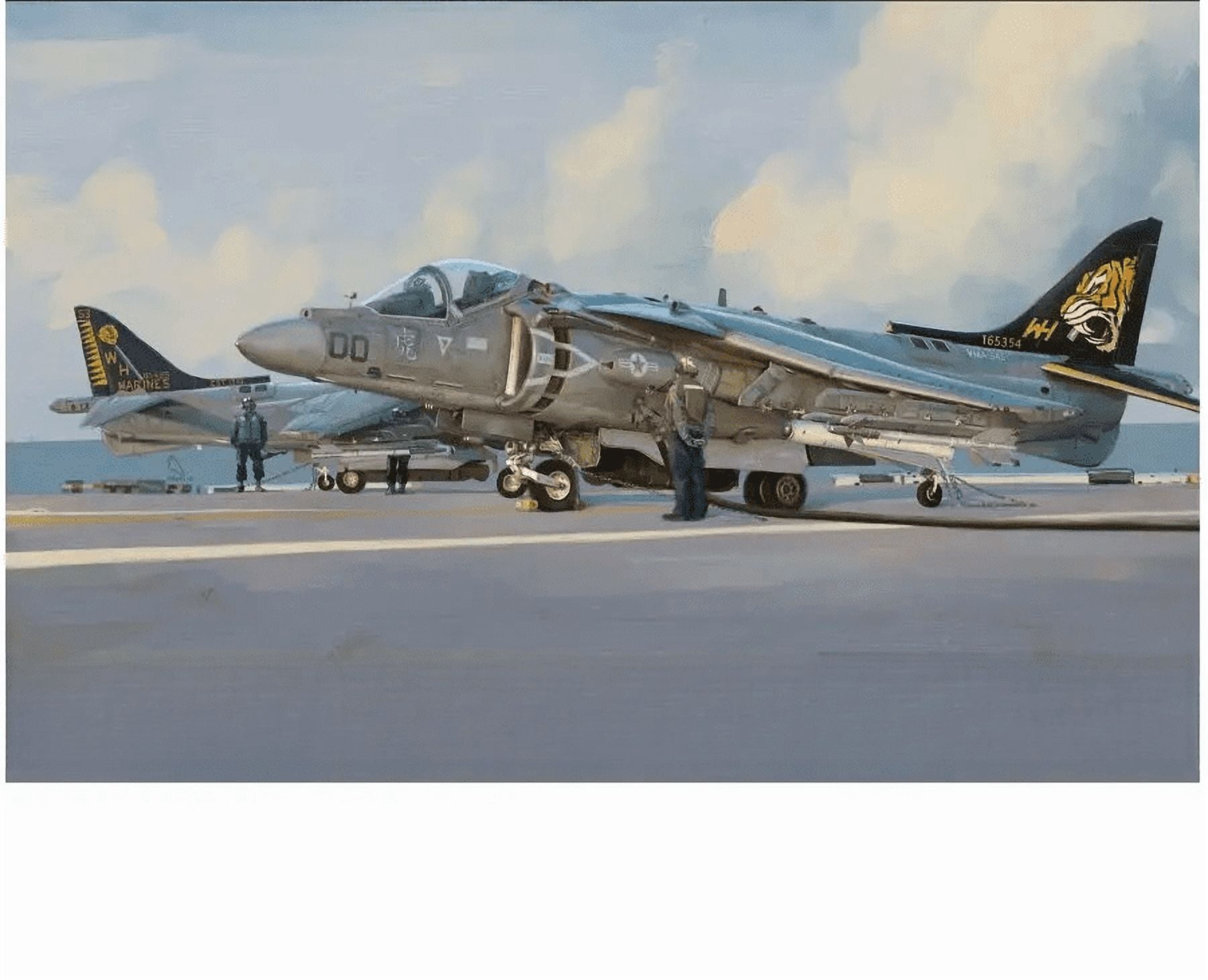 UMa Model D1003 1/48 AV-8B Harrier II PLUS Tiger Camouflage Attack ...