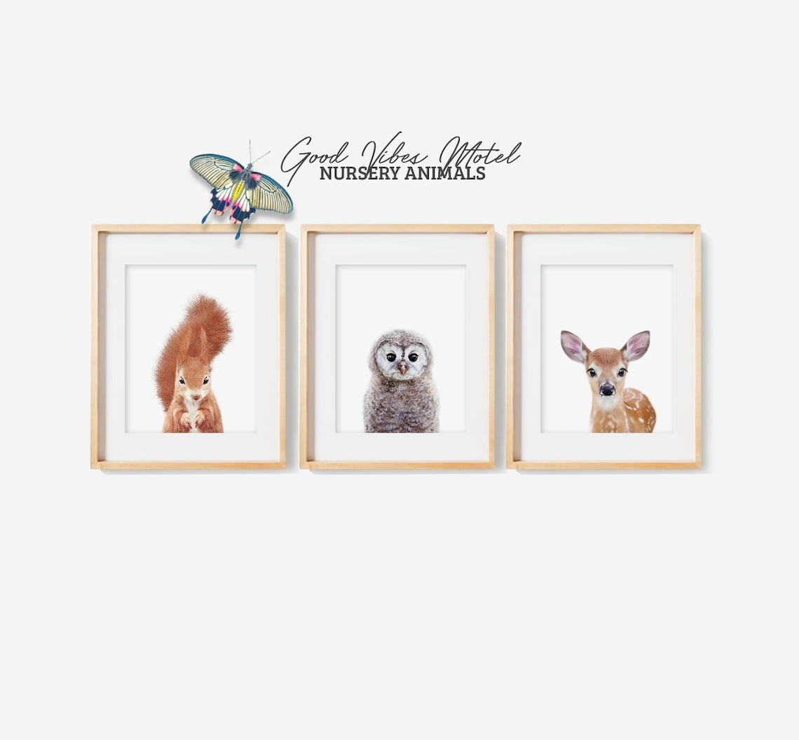 UNFFRAMED Baby Animal Posters Woodland Nursery Decor Set Of 3 Posters ...