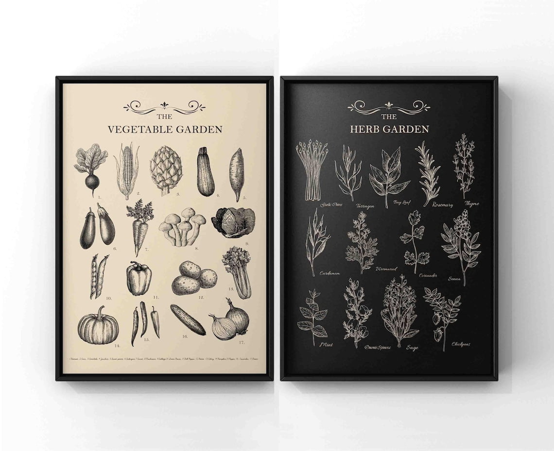 UNFFRAMED Botanical Herb & Vegetable Garden Poster Set Set 2 Prints ...