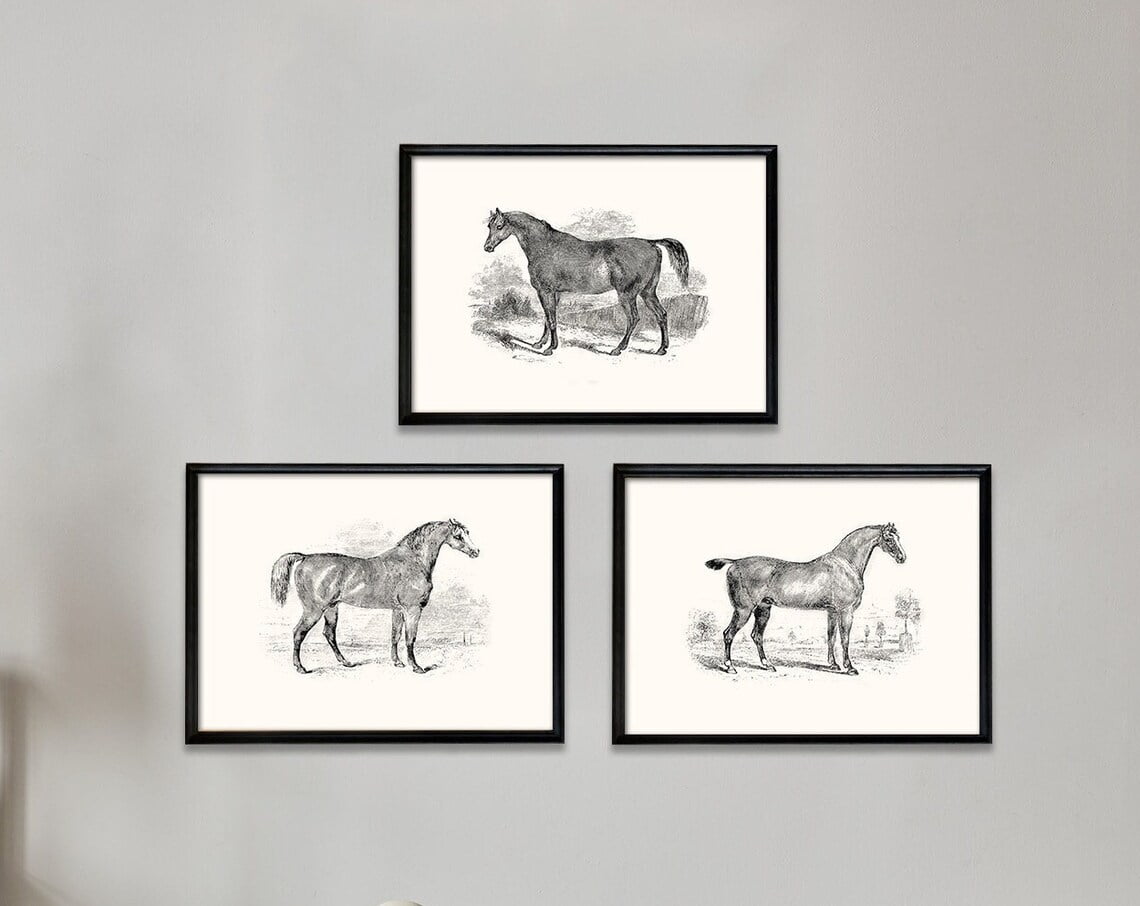Luvia Equine Elegance: Set Of 3 Horse Sketch Posters For Rustic Horse Sketch Posters For Horse ...