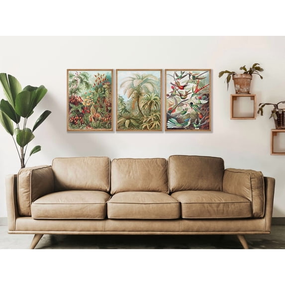 UNFFRAMED Ernst Haeckel Botanical Prints, Giclée Fine Art Biology ...