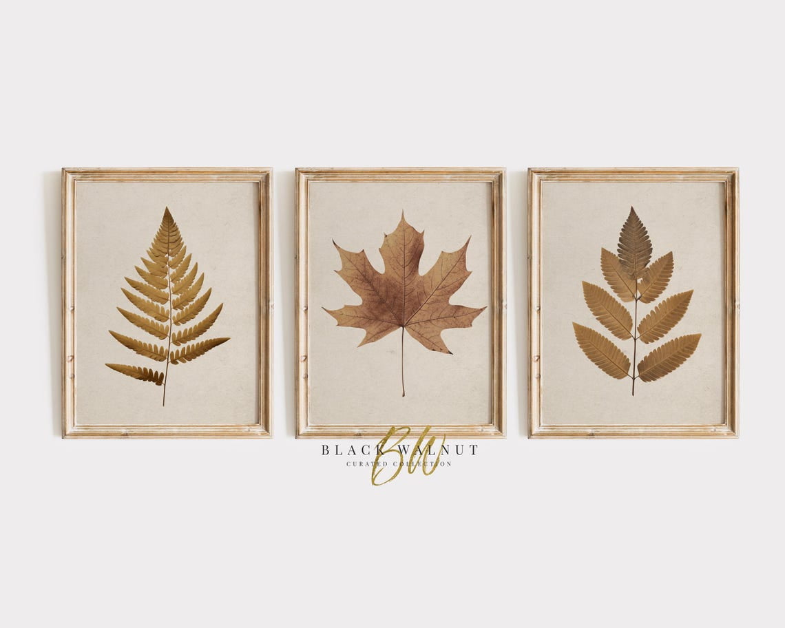 UNFFRAMED Fall Leaf Print Set, Vintage Autumn Botanical Wall Art Set ...