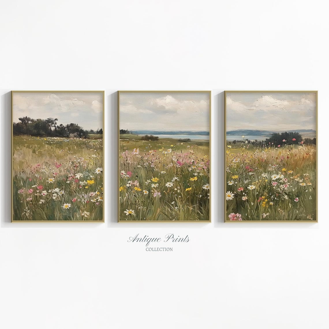 UNFFRAMED Floral Country Wall Art, Wildflower Field Set Posters ...