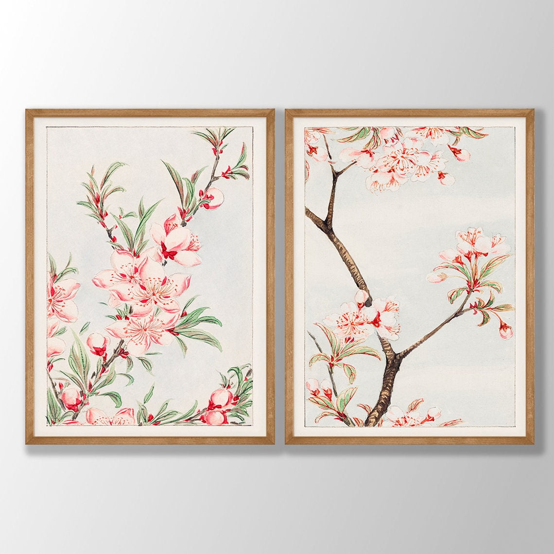 UNFFRAMED Japanese Sakura Flower Prints Set, Pink Botanical Art Set 2 ...