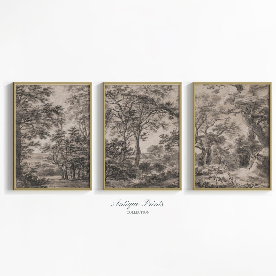 UNFFRAMED Landscape Sketch Art, Neutral Forest Posters Set, Vintage ...