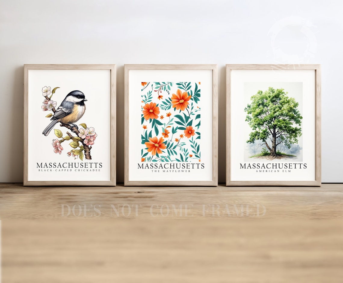UNFFRAMED Luvia Set of 3 Massachusetts State Symbols Poster Prints ...