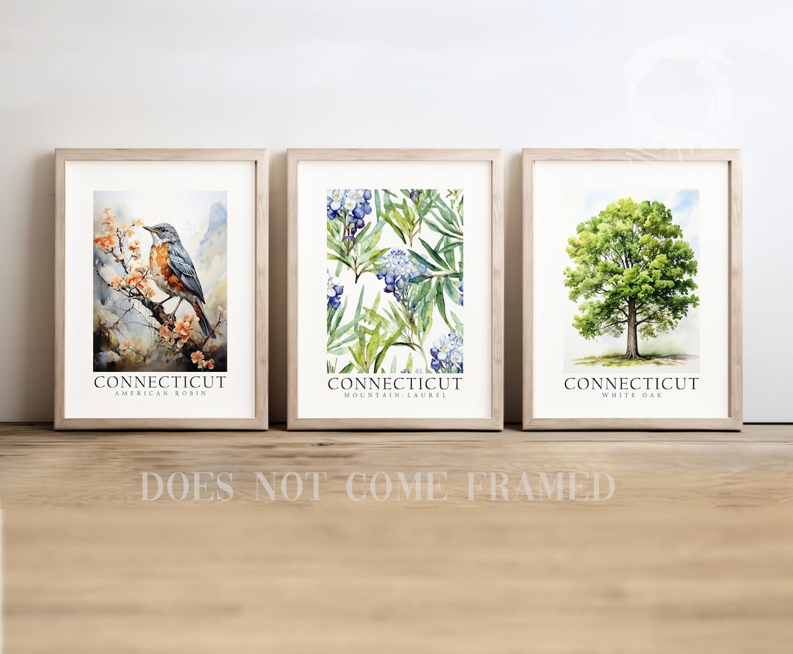 UNFFRAMED Luvia Set of 3 Connecticut State Symbols Poster, American ...