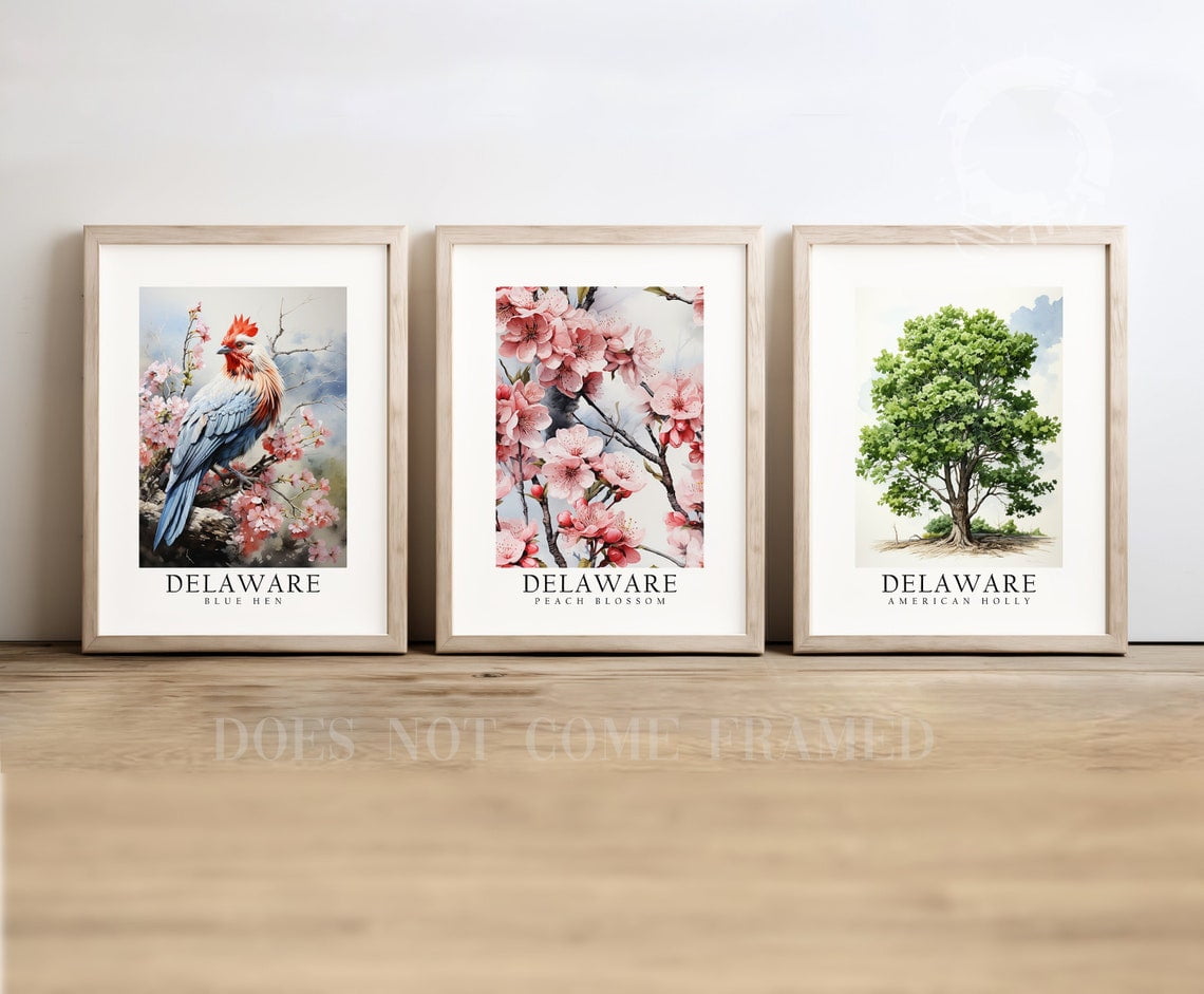 UNFFRAMED Luvia Set of 3 Delaware State Symbols Poster, Blue Hen, Holly ...