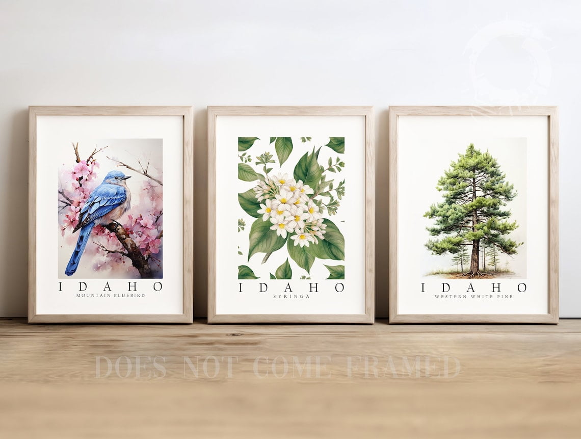 UNFFRAMED Luvia Set of 3 Idaho State Symbols Poster, Mountain Bluebird ...