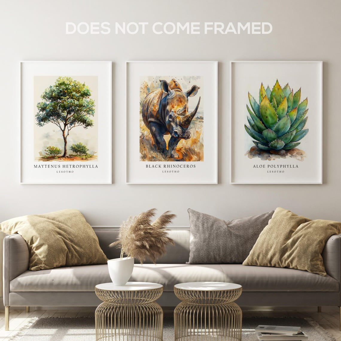 UNFFRAMED Luvia Set of 3 Lesotho National Symbols Poster, Black ...