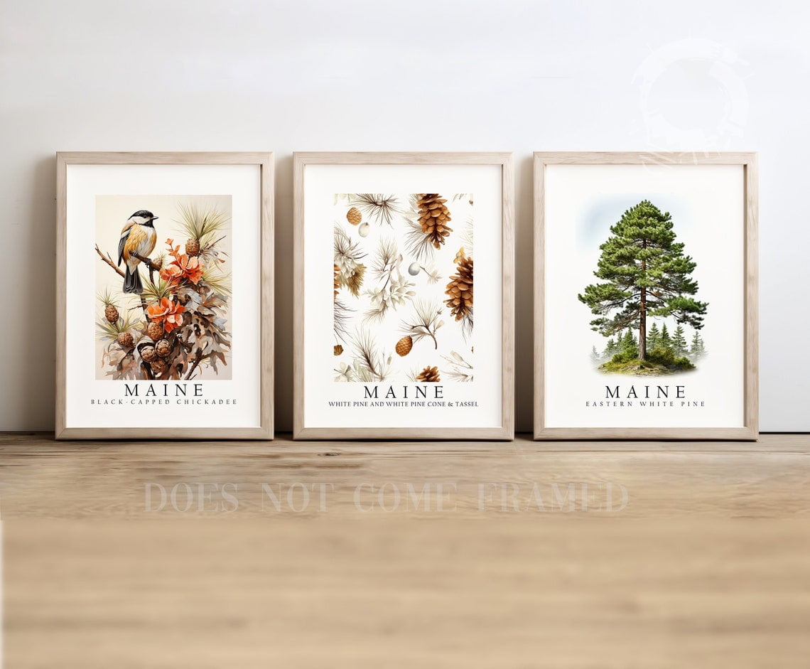 UNFFRAMED Luvia Set of 3 Maine State Symbols Poster Prints, Chickadee ...