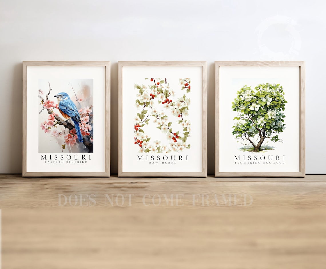 UNFFRAMED Luvia Set of 3 Missouri State Symbols Poster, Eastern ...