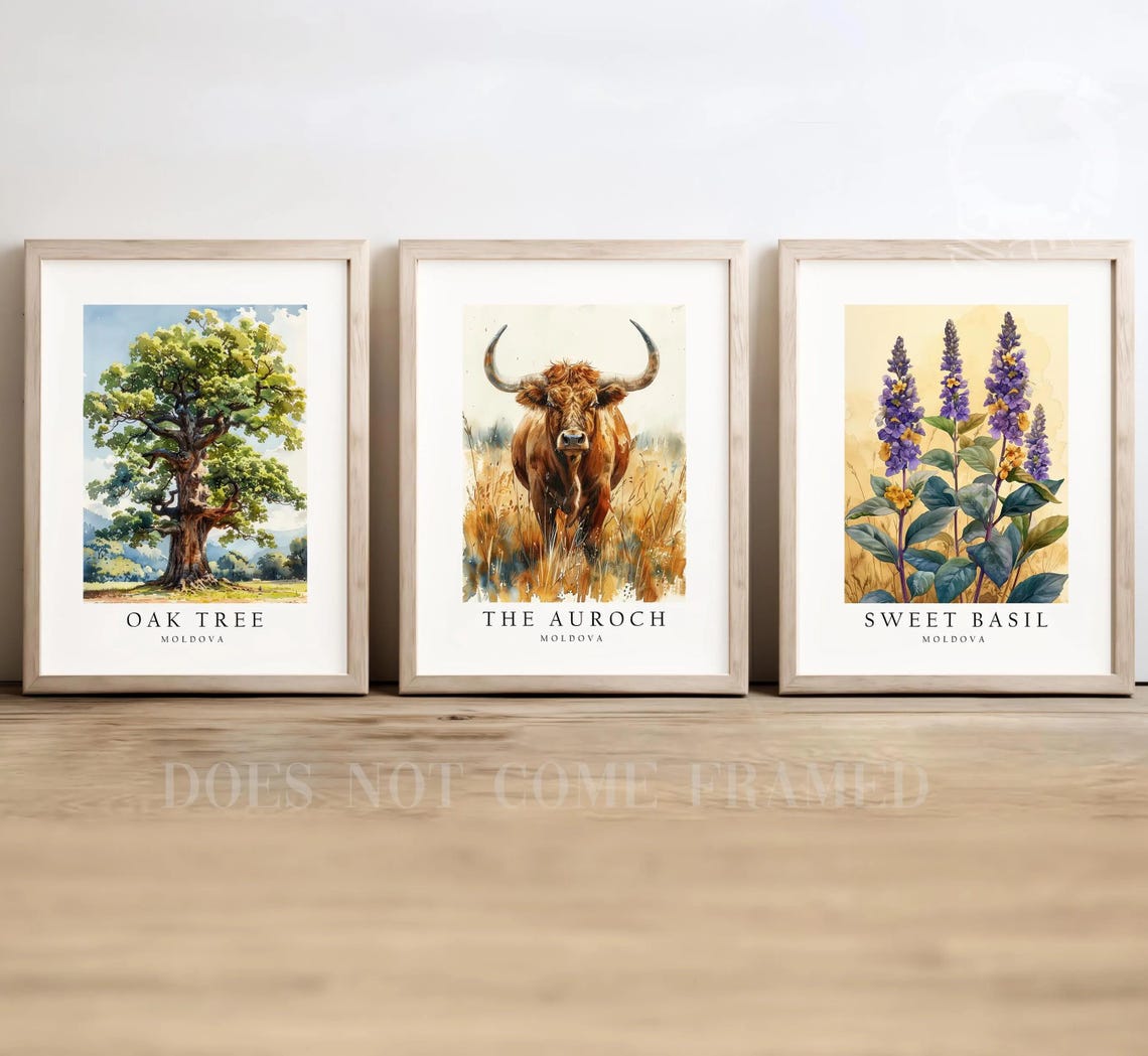 UNFFRAMED Luvia Set of 3 Moldova National Symbols Poster, Auroch, Sweet ...