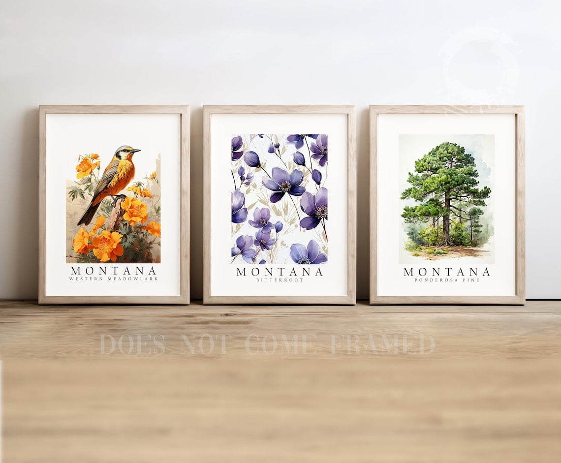 UNFFRAMED Luvia Set of 3 Montana State Symbols Poster, Meadowlark, Pine ...