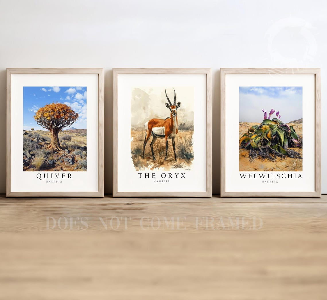 UNFFRAMED Luvia Set of 3 Namibia National Symbols Poster Wall Art, Oryx ...
