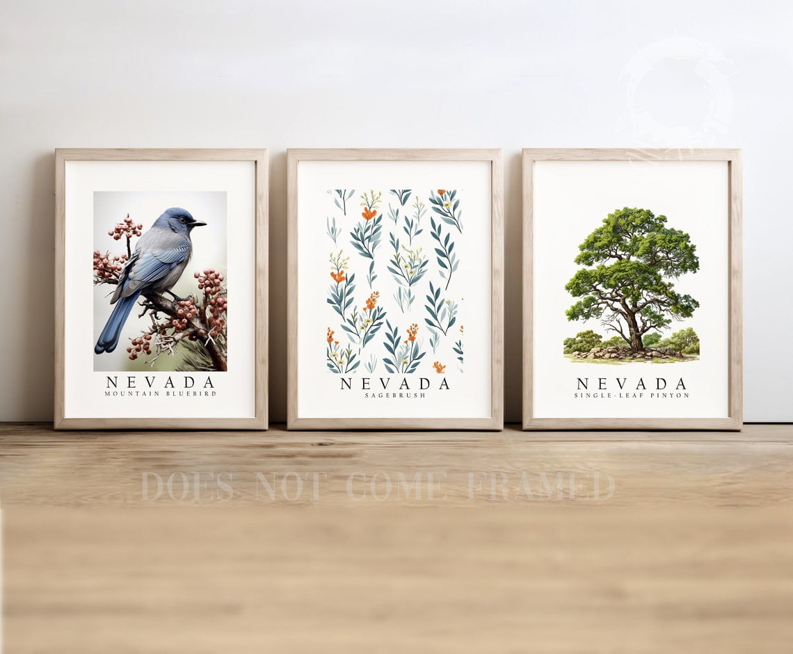 UNFFRAMED Luvia Set of 3 Nevada State Symbols Poster, Mountain Bluebird ...