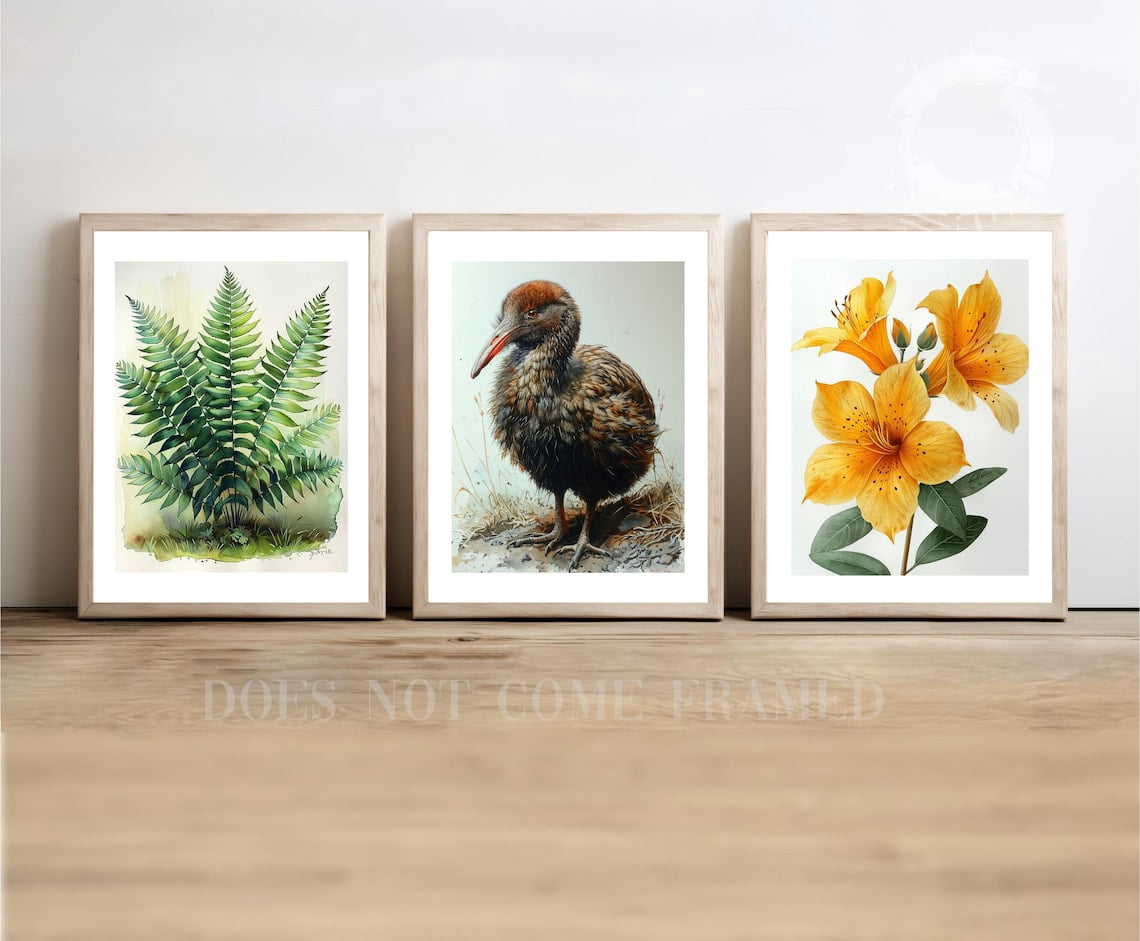 UNFFRAMED Luvia Set of 3 New Zealand National Symbols Poster, Kiwi ...