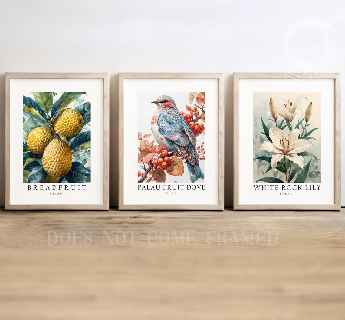 UNFFRAMED Luvia Set of 3 Palau National Symbols Poster Wall Art, Fruit ...