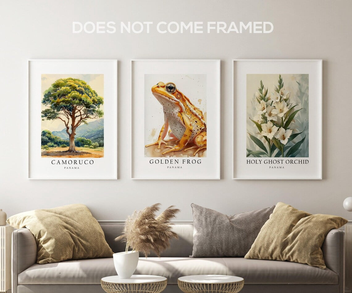 UNFFRAMED Luvia Set of 3 Panama National Symbols Poster Wall Art, Frog ...